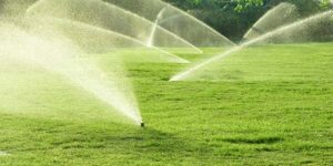 Sprinkler System Diagrams | Design Your Sprinkler Sysytem Layout